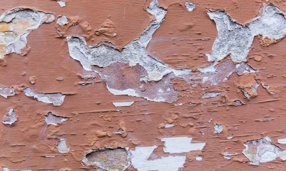 It's time, you should know how to fix chipped paints. - House Keeping World